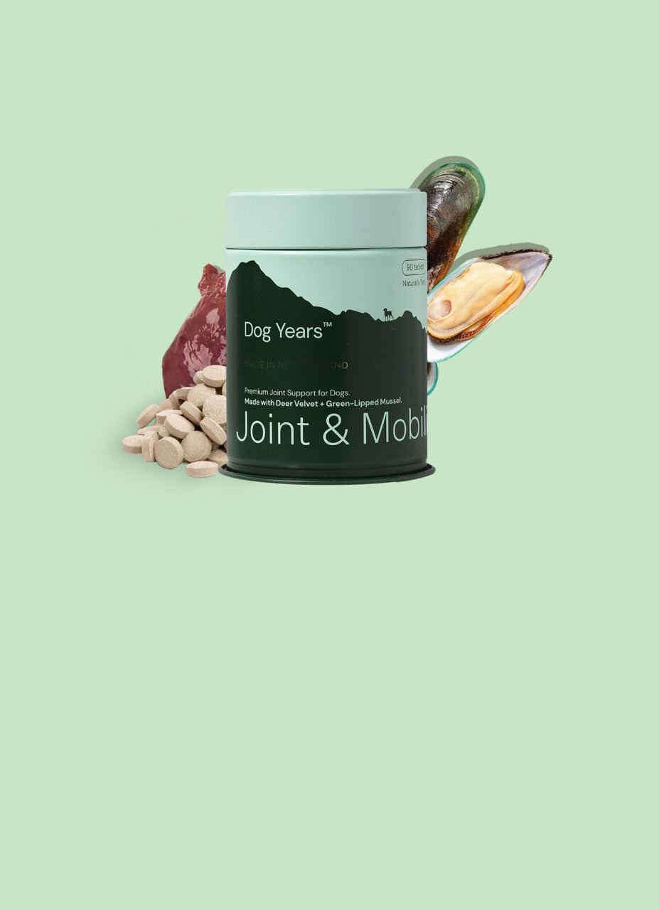 Joint & Mobility Supplement for Dogs | Dog Years – Dog Years NZ
